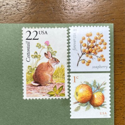 Mr. ZIP .. Vintage Postage Stamps .. 50 Use Correct Zip Code - Etsy
