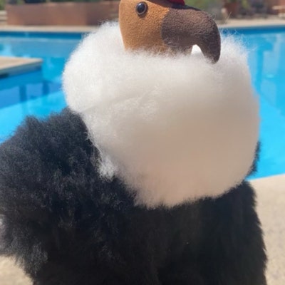 Andean Bird Plush / Peruvian Andean Condor / Alpaca Condor Plush ...