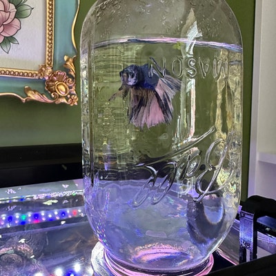 20 Gallon Long 3D Printed Aquarium Divider Betta Tank Divider - Etsy