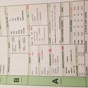 Nurse Note Taking BUNDLE, Printable Nursing School Notes, Concept Map ...