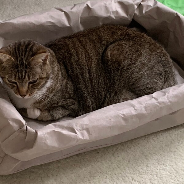 Cat Bed | Made From Washable Paper | Cat Box | Cat Cave | Pet Box | Pet ...