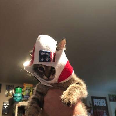 Astronaut Rocketship Pet Hat Costume for Cats Small Dogs and Small Pets ...