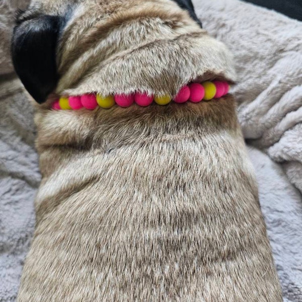 Easter Beaded Dog Collar, Fancy Cat Necklace, Waterproof Dog Collar ...