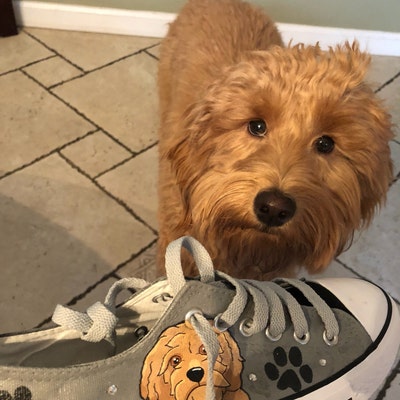 Goldendoodle Sneakers, Personalized Dog Canvas Shoes, Golden Doodle ...