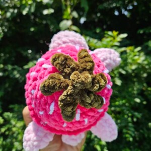 NEW Handmade Fruit Turtle Crochet Plushie Amigurumi Birthday Gift Idea ...