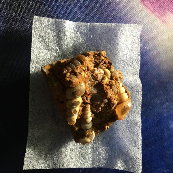 Peruvian Rhodonite Tumble Stone Crystals - 3 Pack Sizes - Etsy