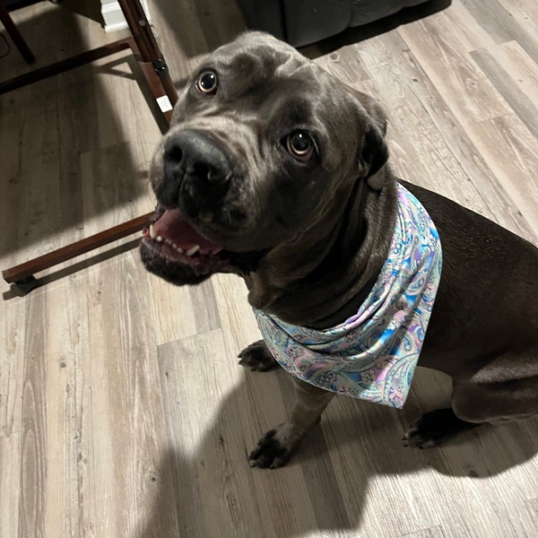 MEN'S UNDERBUST CORSET Pattern // Pdf Sewing Pattern for Men // Eu Size ...