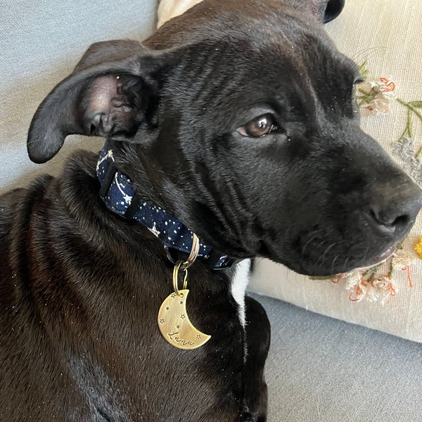 Personalized Moon Dog Tag, Gold or Silver Pet ID Tag - Etsy