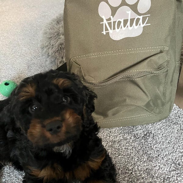 Personalised Backpack With Name and Initial, Back to School, Laptop ...