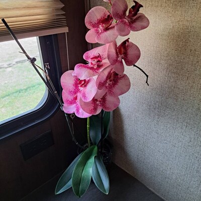 72 Mini Rose Garland Artificial Flower Garland Hanging Vine Wall ...