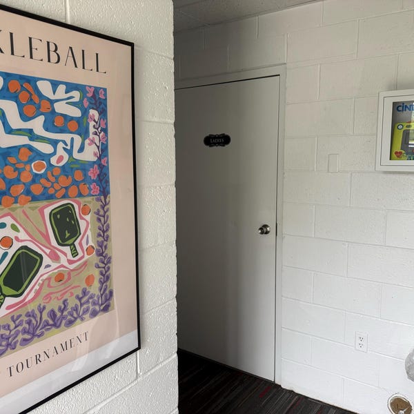 Henri Matisse Inspired Pickleball Poster | Original Abstract Pickleball ...