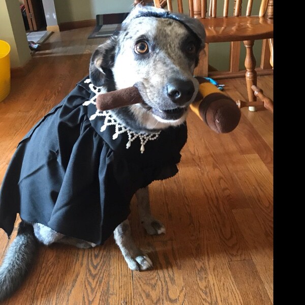 Squeaky Gavel Dog Toy - Etsy