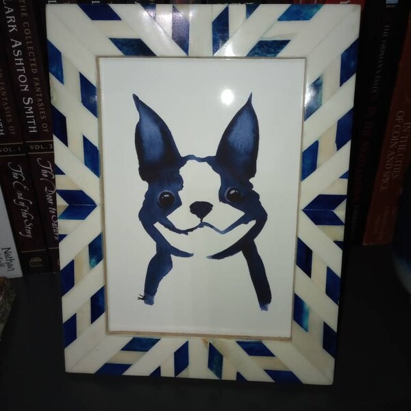 Rainbow Lionfish Art Print Pterois Fish Zebrafish Venomous Marine Fish ...