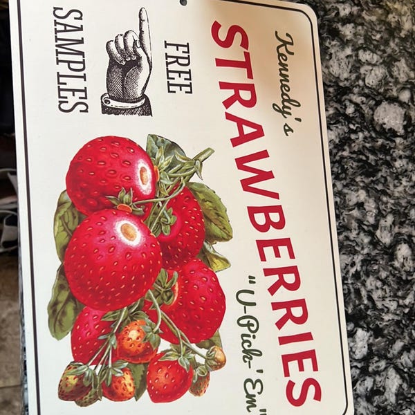 Strawberries Sign, Berry Kitchen Decor, Strawberry Farm Sign, Berry ...