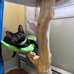 EDEN Wood Floral Cat Tree Tower, Wooden Cat Tower, Modern Cat Climbing ...