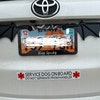 Going to Hell Satanic Goth License Plate Frame Goth Car Accessories ...