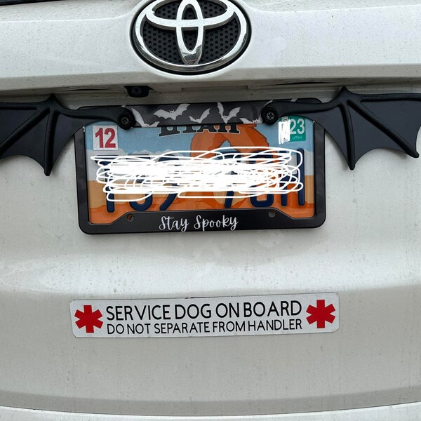 Goth Bat License Plate Frame Goth Car Accessories Goth Car Decor Pastel ...
