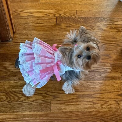 Pink Daisy Dog Dress Customizable to Your Pets Measurements - Etsy