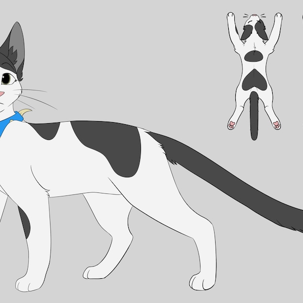 Cat Reference Sheet, Base, Lineart, Warrior Cats, Ocs - Etsy