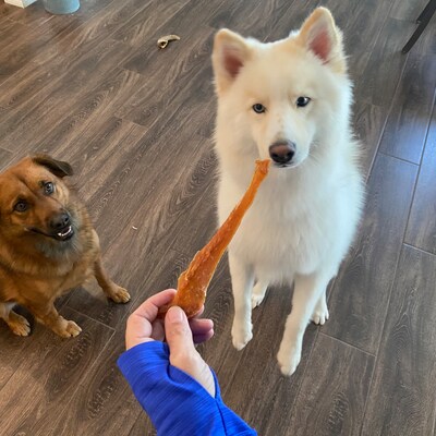 Cheese Chompers Devon's Doggie Delights Homemade Dog Treats - Etsy