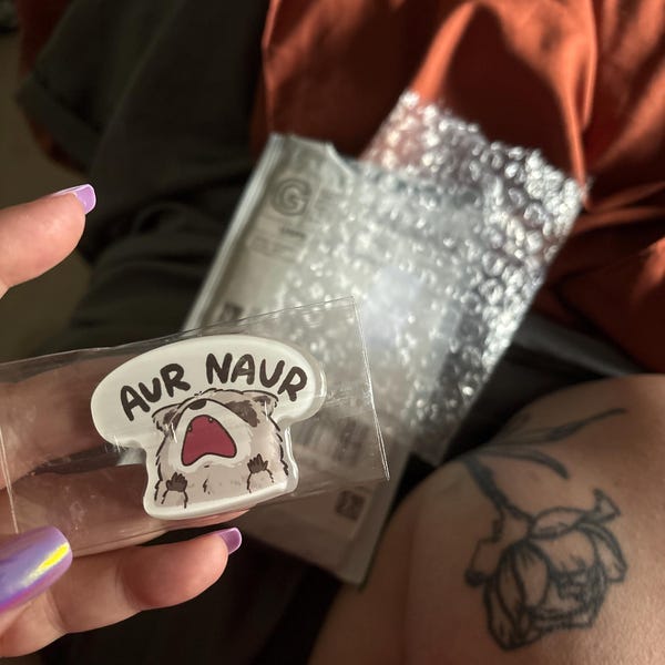 Raccoon Aur Naur | Funny Cute Acrylic Magnet | Gifts Under 10 | Novelty ...