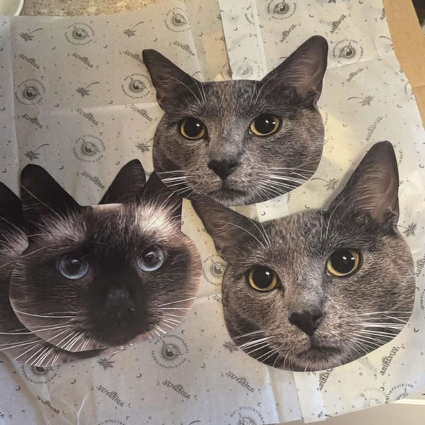 Bridal Wedding Veil Last Rodeo Bachelorette Bridal Shower Gift ...