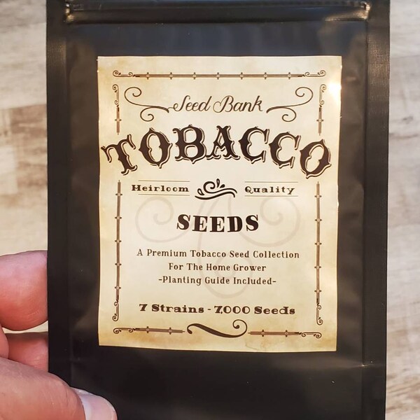 Chewing Tobacco Seed Pack 3 Varieties for Chew & Dip 3,000 Seeds - Etsy