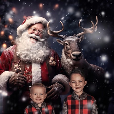 Red Cardinal Png Overlay, Winter Bird Clip Art, Christmas Bird Overlays ...