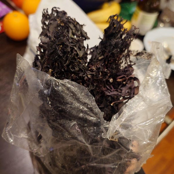 Prickly Pear Nopal Cactus Powder, Wildcrafted Nopales | Opuntia Ficus ...