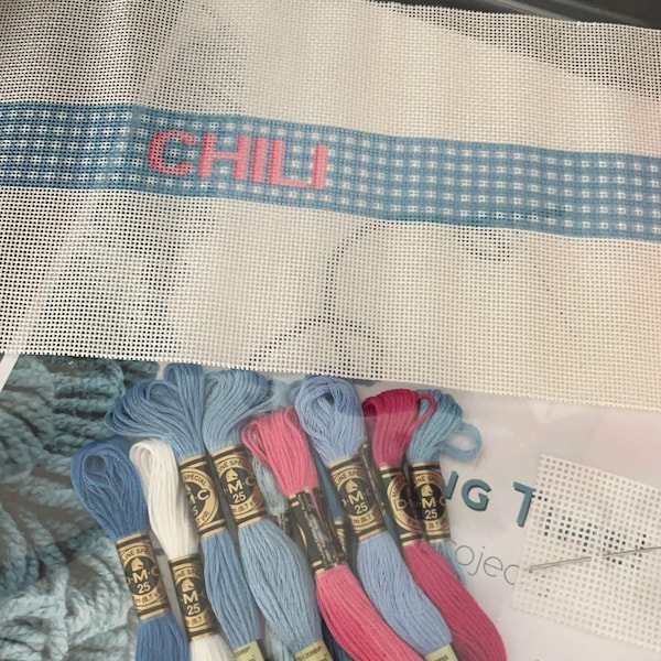 Winnie the Pooh's Honey Needlepoint Christmas Ornament DIY Kit - Etsy