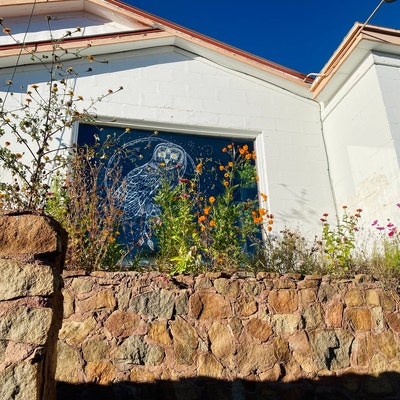 The NOAIDI, Sami Shaman and Reindeer, Art Print - Etsy