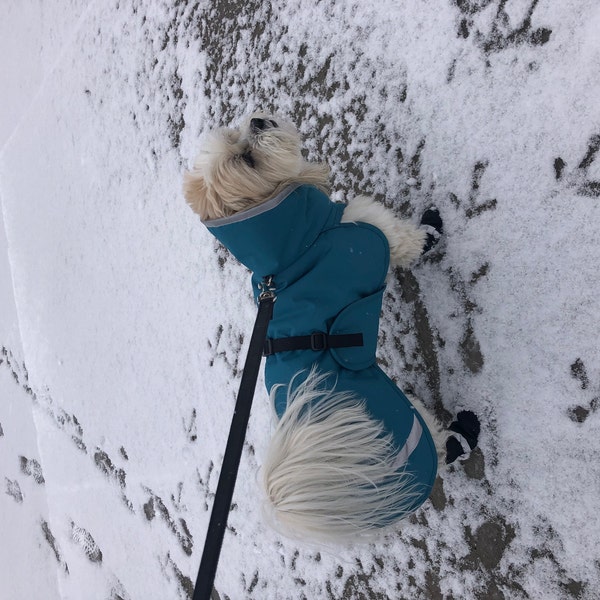 Cozy Cuddle Cube 10 for Guinea Pig and Small Animals - Etsy