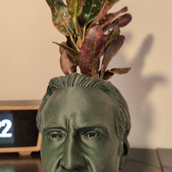 Horror Movie Planters for House Plants and Succulents - Etsy