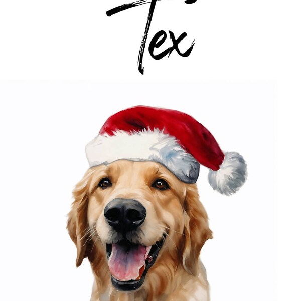 Custom Pirate Captain Pet Portraits From Your Photo, Personalized ...