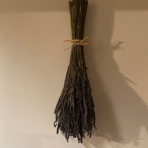 Folgate Royal Velvet and Melissa Lavender Seeds - Etsy