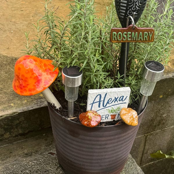 Handmade Ceramic Herb Garden Markers – Frostproof Plant Labels for ...