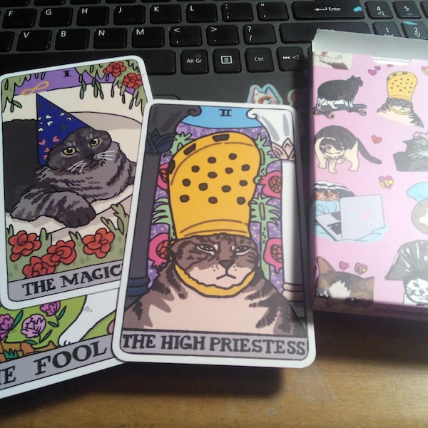 Birthday Blessing From the Pope Cat Meme, Croc Cat Meme, Funny Birthday ...