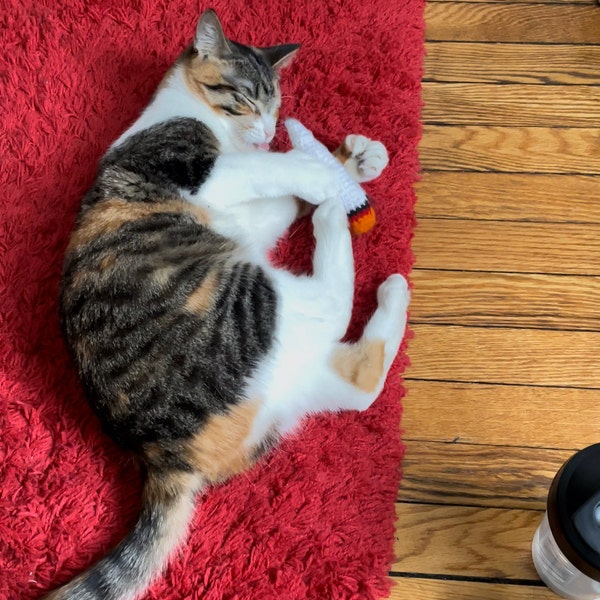 Blunt Catnip Cat Toy PATTERN - Etsy
