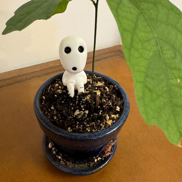 Hestu's Gift - Super Shining - Korok Seed - Golden Poop - BOTW- 3D ...