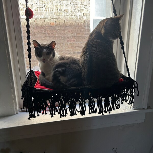 Cat Window Bed, Macrame Cat Window Hammock, Express Shipping , Cat ...