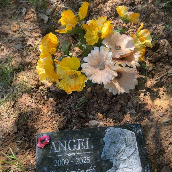 Personalized Memorial Stone for Loved Ones | Grave Marker, Burial ...