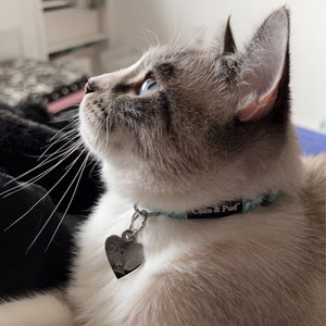 Coco & Pud Windflower Cat Harness | Etsy