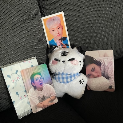 Enhypen En-dolls Animal Fanmade Plushie Jungwon Heeseung Jake Jay ...