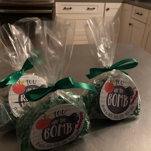 PRINTABLE You Are the BOMB Thank You for All You Do Gift Tag Instant ...