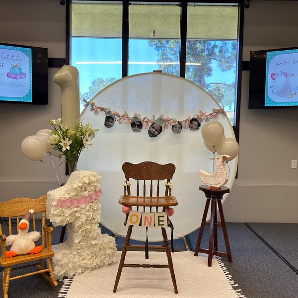 Goose Piñata - Add Elegance to Your Festivities! - Etsy