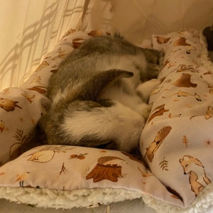 Digital Download Plans for Luxury Bunny Cubby Free Roam Bunnies Cat ...