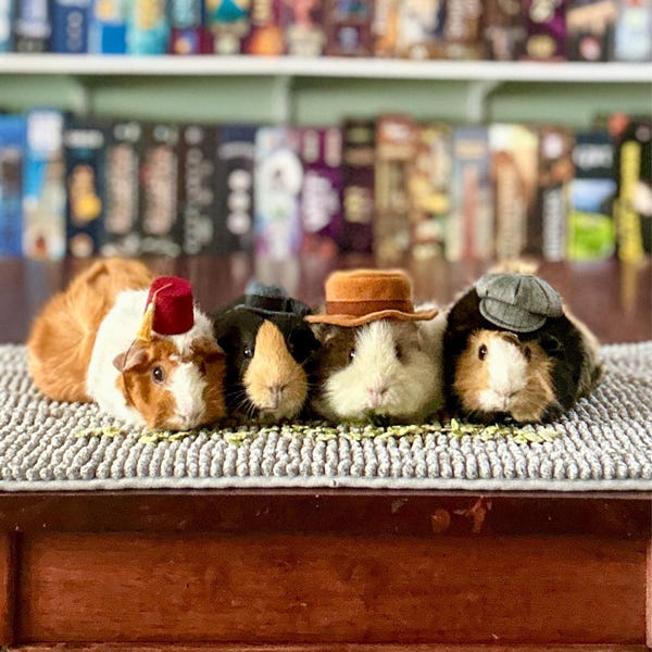 Fez Hat Mini Small Pet Cat Dog Hedgehog Vogue Guinea Pig Ferret Rabbit ...
