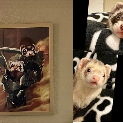 Ferret Fighters Printable Art Digital Download JPG Download Art Dnd ...
