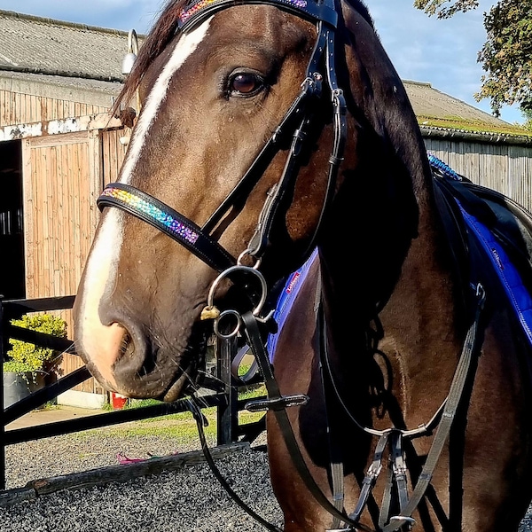 Rainbow Bridle - Dressage Bridle - Fancy Bridal - Bling Headstall ...