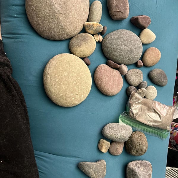 Rare Driftwood Roots W/ Embedded Stone 20in Long, Terrarium or Aquarium ...